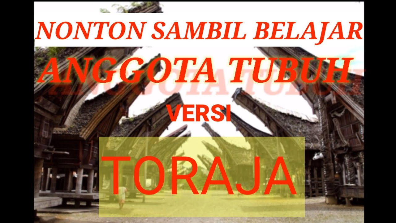 Ayo Belajar BAHASA TORAJA - YouTube
