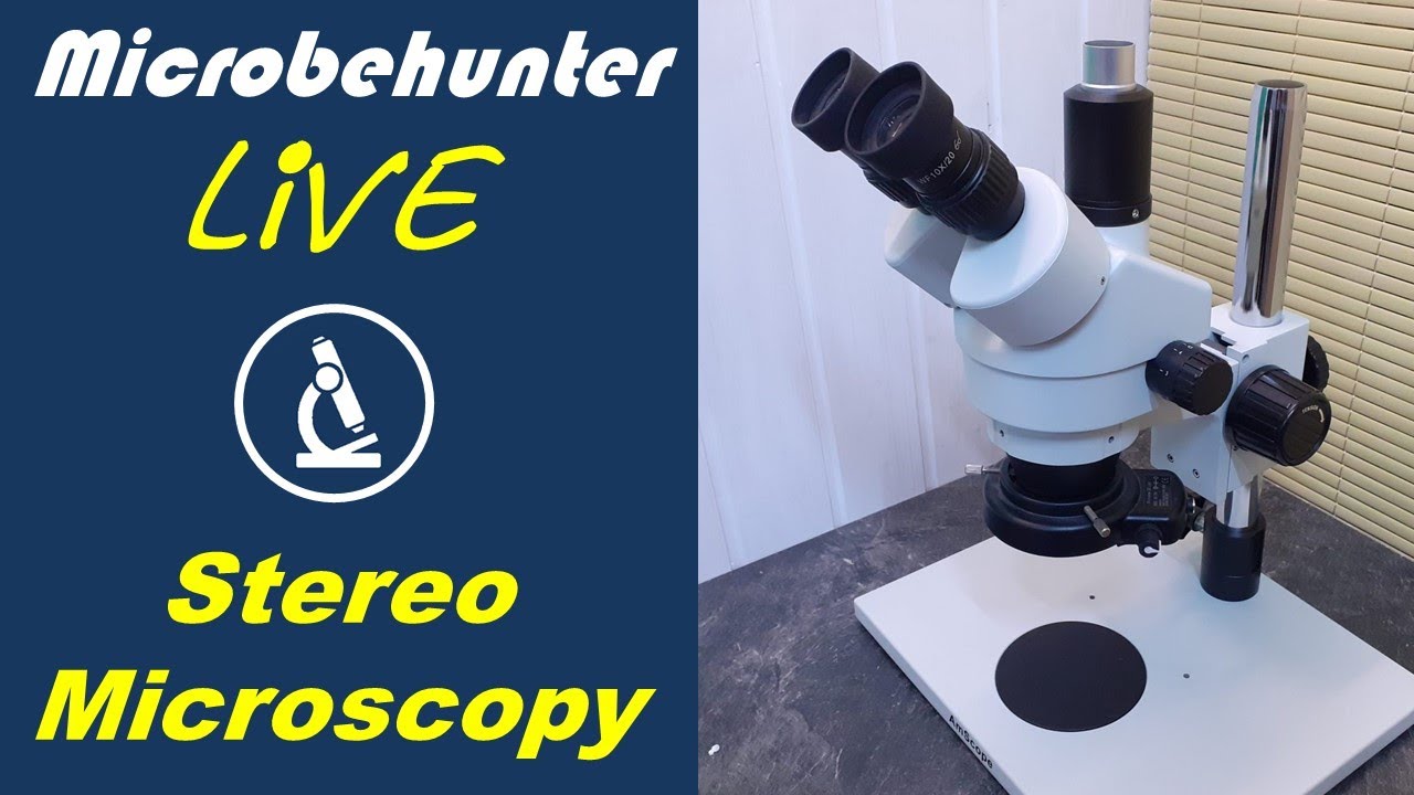 Stereo Microscopy - YouTube