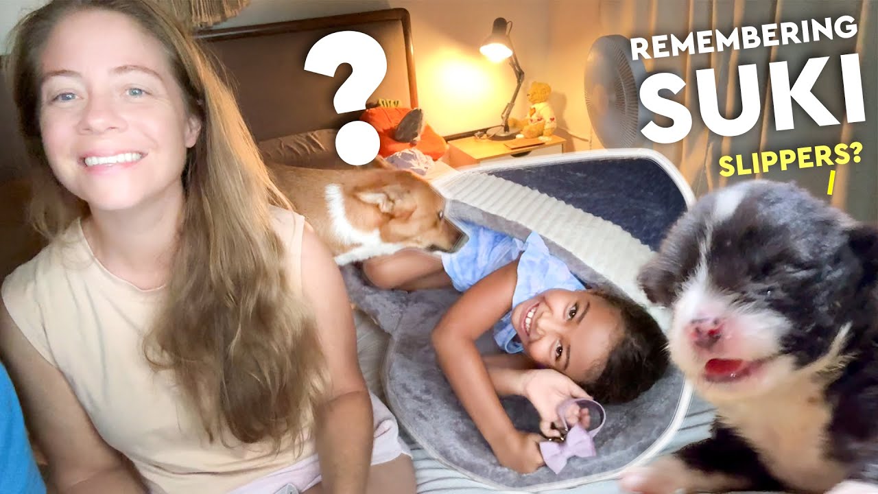 Closure... RAW vlog, sharing our final thoughts on SUKI - YouTube