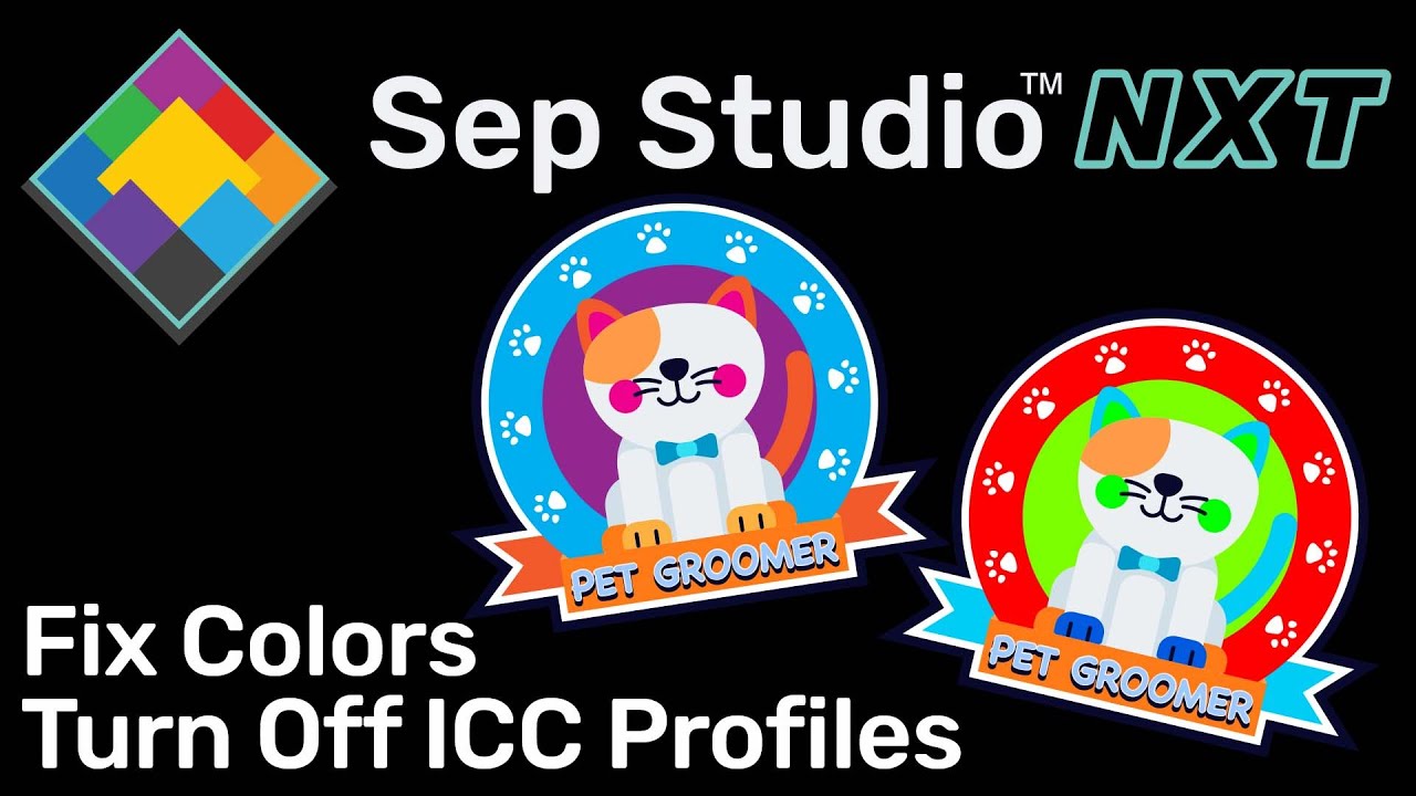 Separation Studio NXT - Turn off ICC Profiles - 16 Second Lesson - YouTube