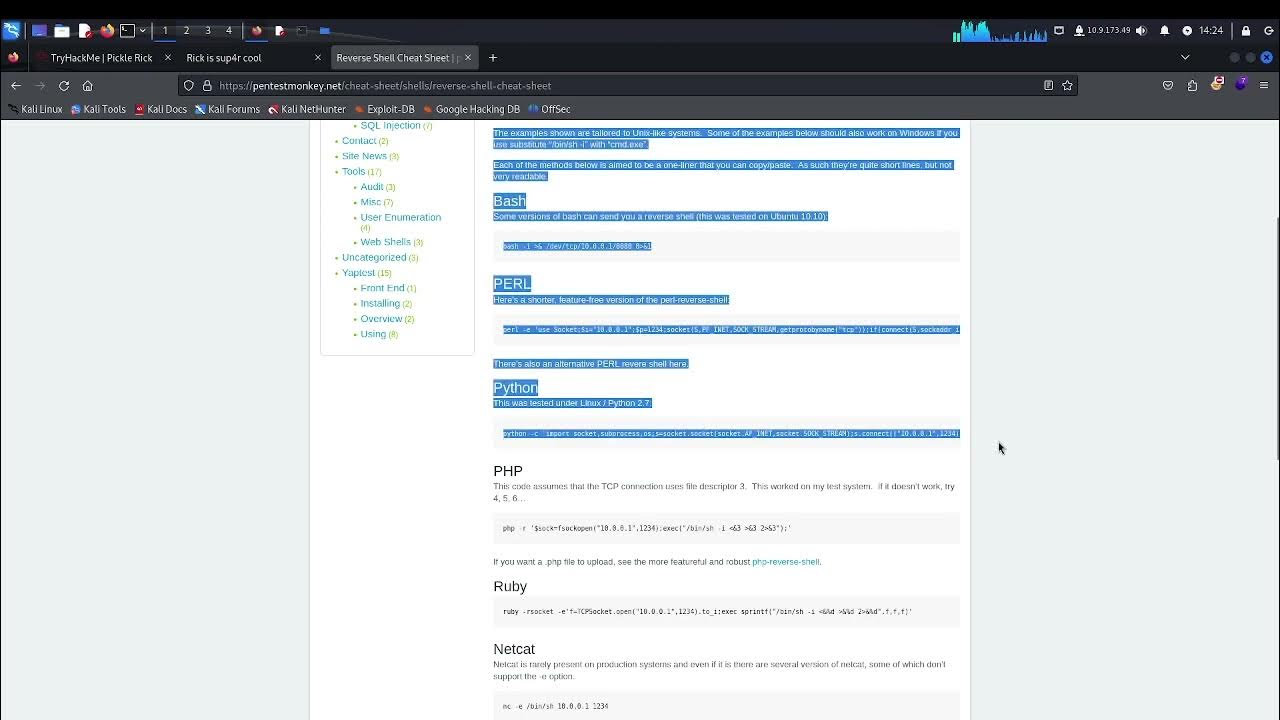 TryHackMe - PickleRick CTF challange "walktrough" - part 2 (reverse shell) - YouTube