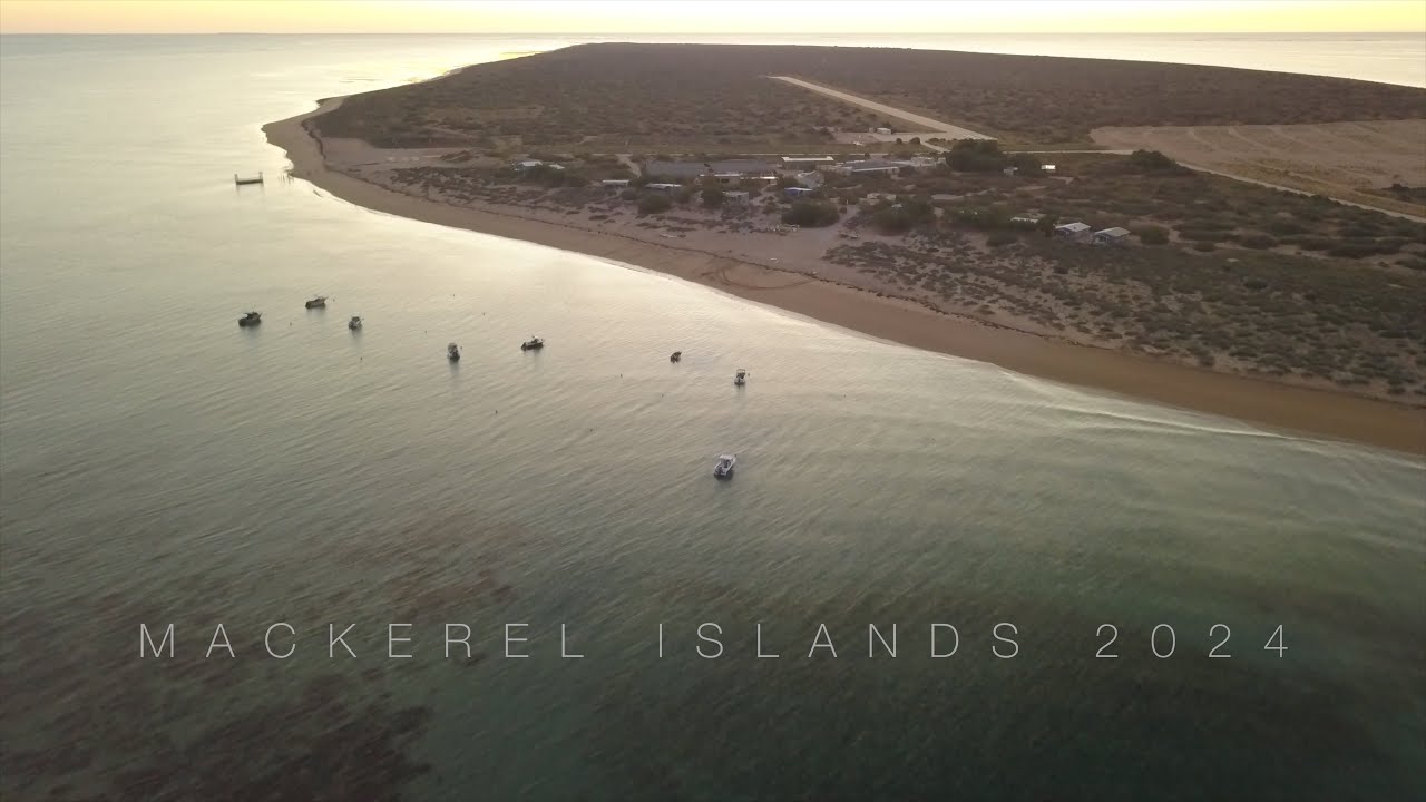 Mackerel Islands, Western Australia 2024 - "That Guy!" Loves Sticky ...