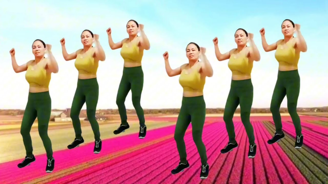 aerobics dance workout, whole body fat burning, weight loss fast/lovely ...