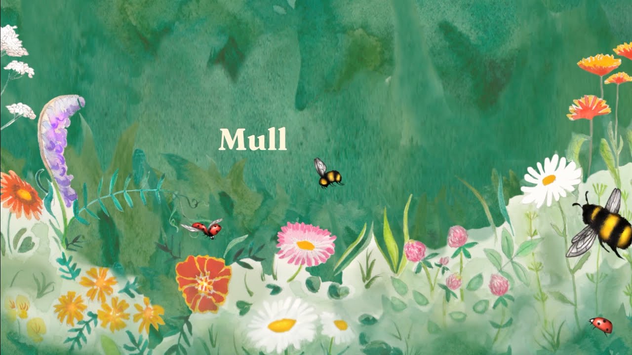 Mull - YouTube