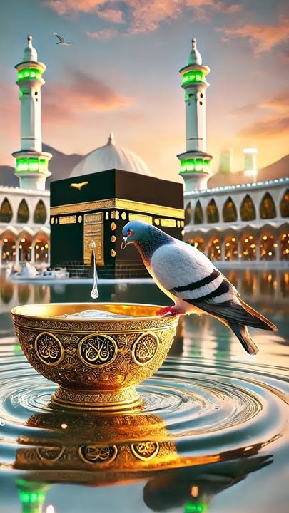 LA ELAHA ILL ALLAH ️(#shorts #viralvideo vir#allah - YouTube