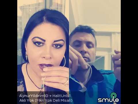 Akli yok fikri yok deli misali