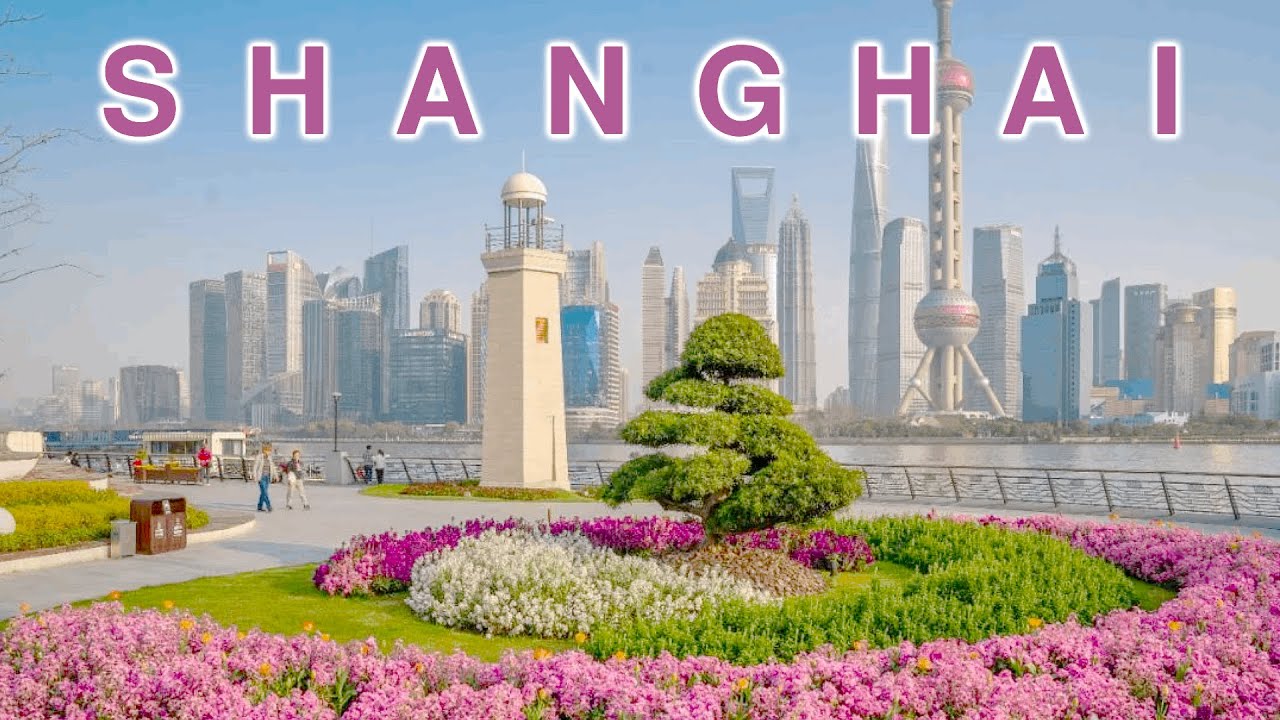 Rainy Night in Shanghai – Live Walk & City Lights - YouTube