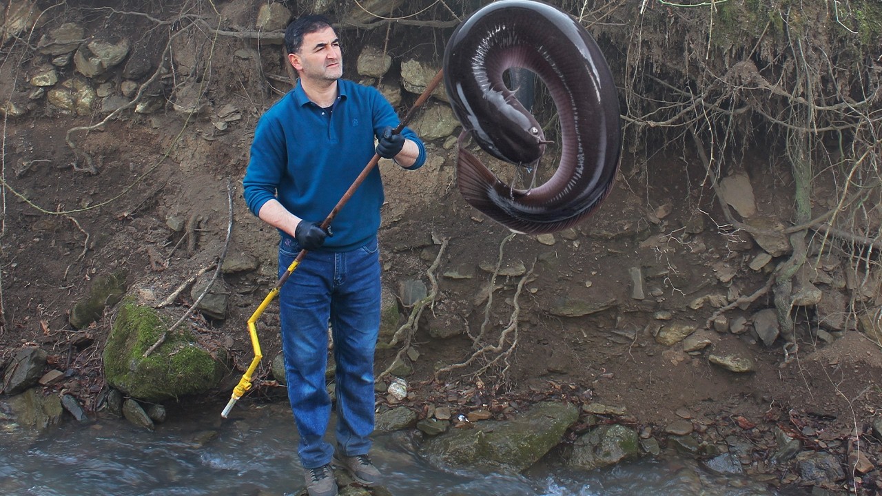 Mastering Meat: Cooking BLACK NAQQA Fish in the Wild! - YouTube