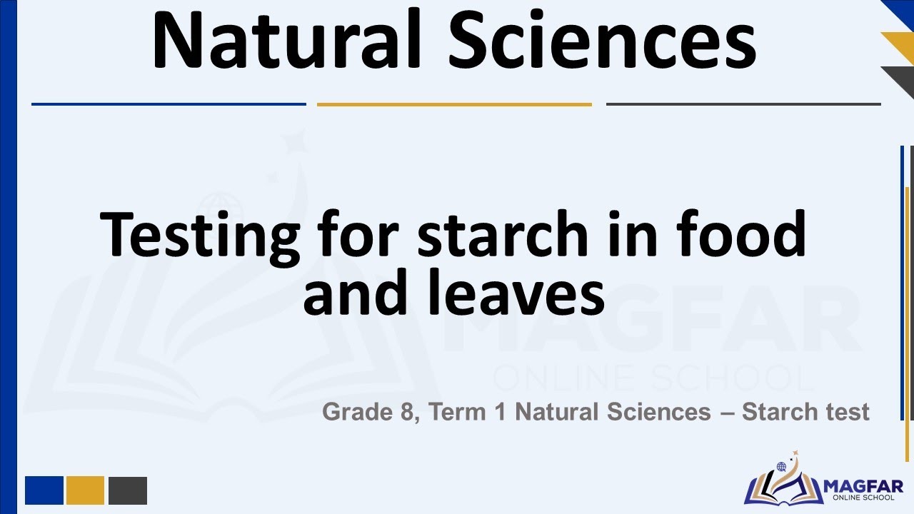 Grade 8 Term1 Natural Sciences: The Starch Test - YouTube