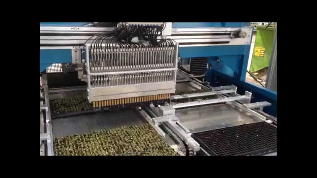 TTA CombiFix - Transplant Systems Australia - YouTube