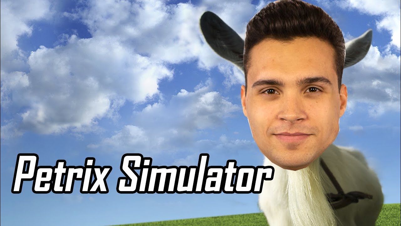 PETRIX SIMULATOR!!! - YouTube