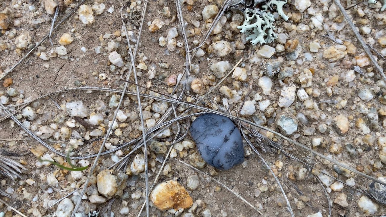Wyoming Stone Ranger Moss Agate Gems of the Prairie Rockhounding Rock ...