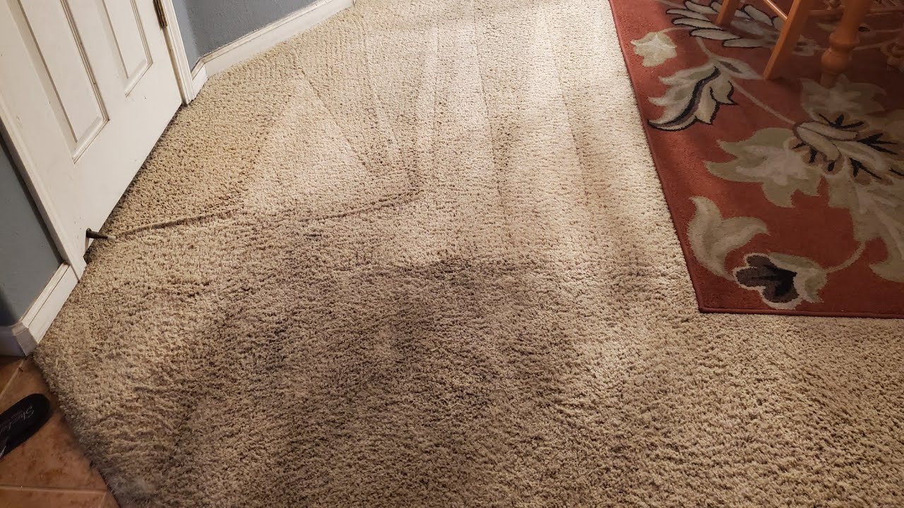 Filthy Wrecked Carpet Cleaning Turned Out Amazing - YouTube