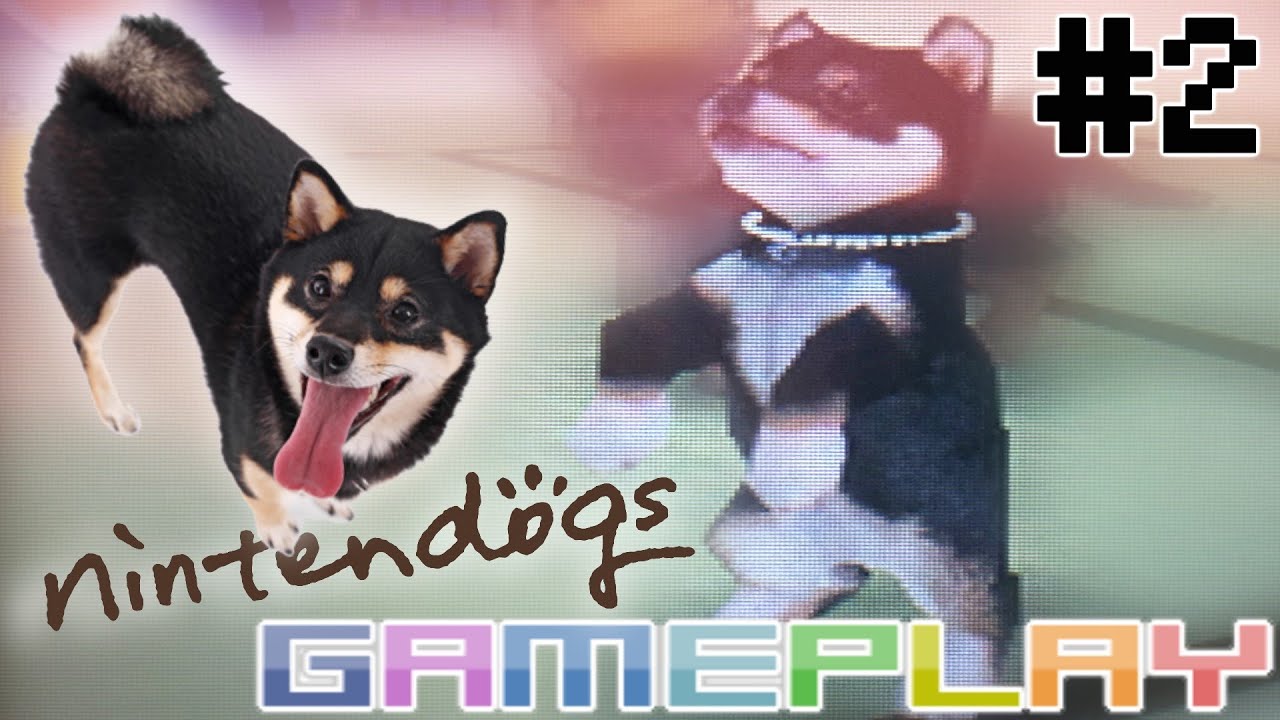 Nintendogs (Labrador & friends) - #02 - "NOVITA' A GOGO!" [ITA] - YouTube