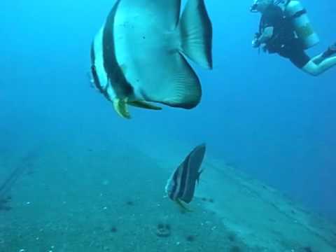 M/V Sea Chart 1 Wreck, Khao Lak, Thailand - YouTube
