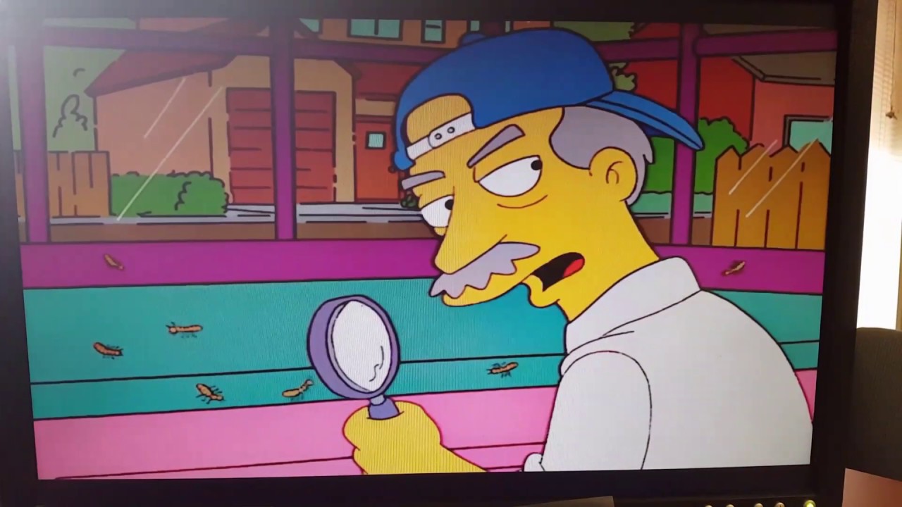The Simpsons - A Bug's Death - YouTube