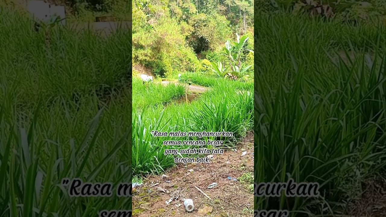 rasa malas #shorts #fyp #viral #quotes #quoteoftheday # ...