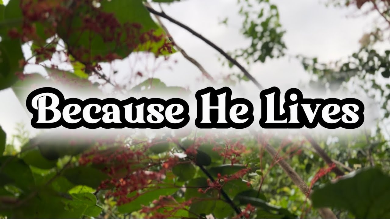Because He Lives (Lyrics) - Bill Gaither - YouTube