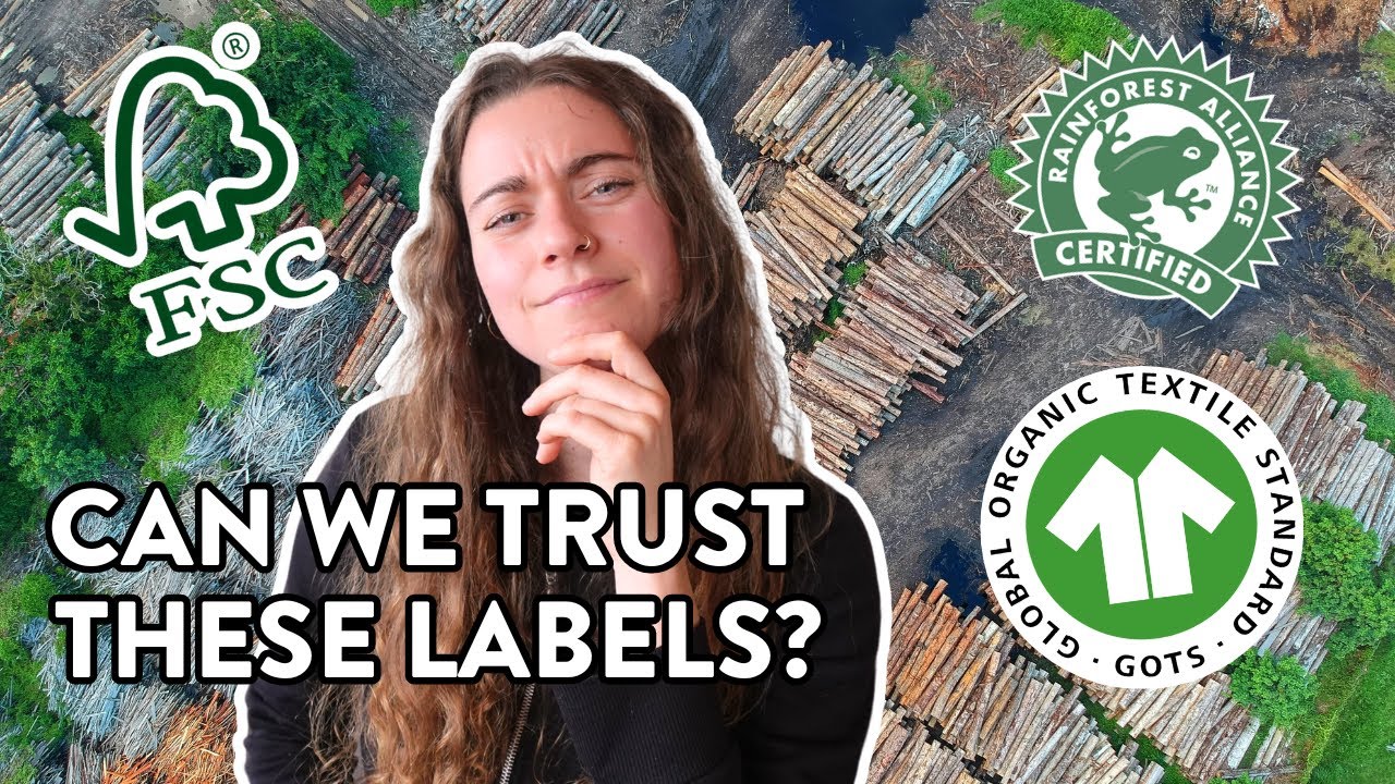 Are eco labels greenwashing? | Spotlight on Rainforest Alliance, GOTS ...