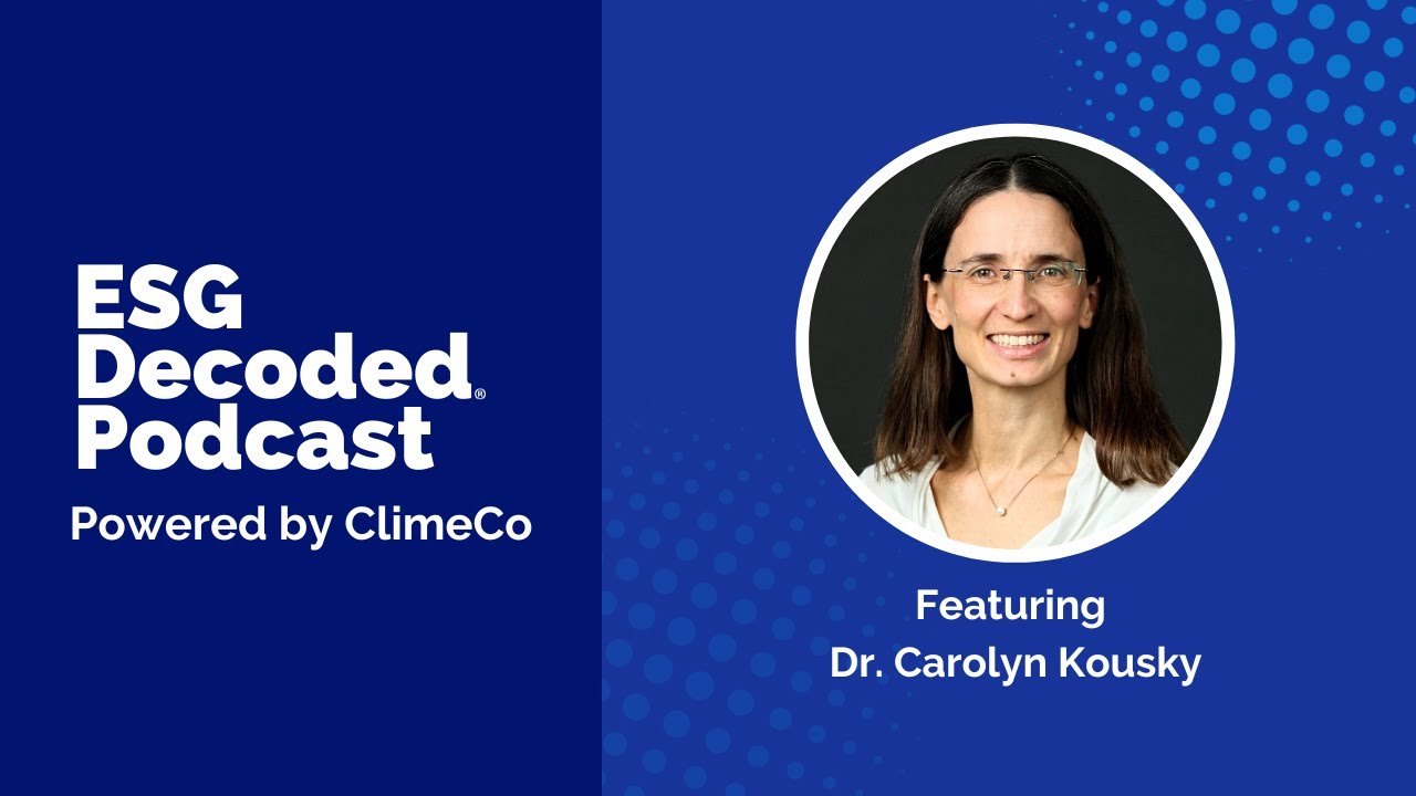 Adapting Insurance to Climate Risk ft. Dr. Carolyn Kousky - YouTube