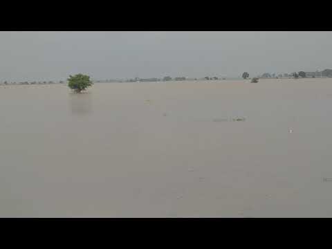 Siwan Bihar. Chainpur sonbarsa badh me duba - YouTube