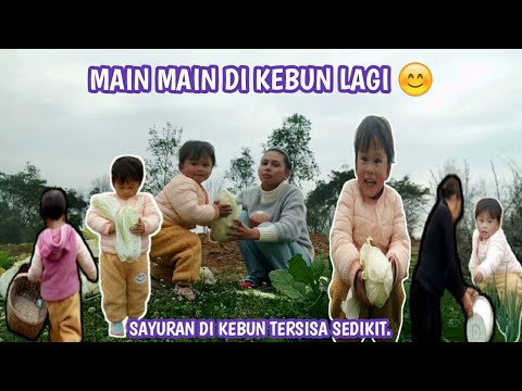 MAIN MAIN DI KEBUN LAGI 😊