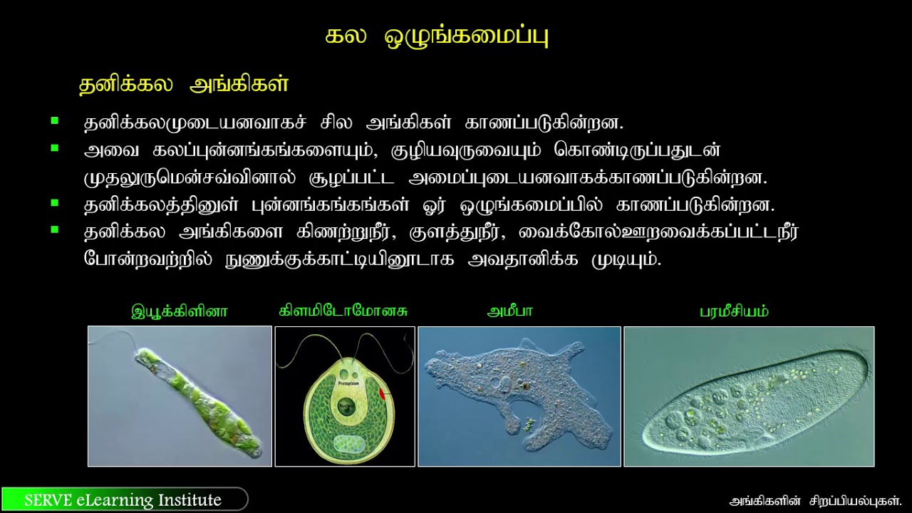 Grade-10-Science - 8 1 1 characteristics of organms 1 - YouTube