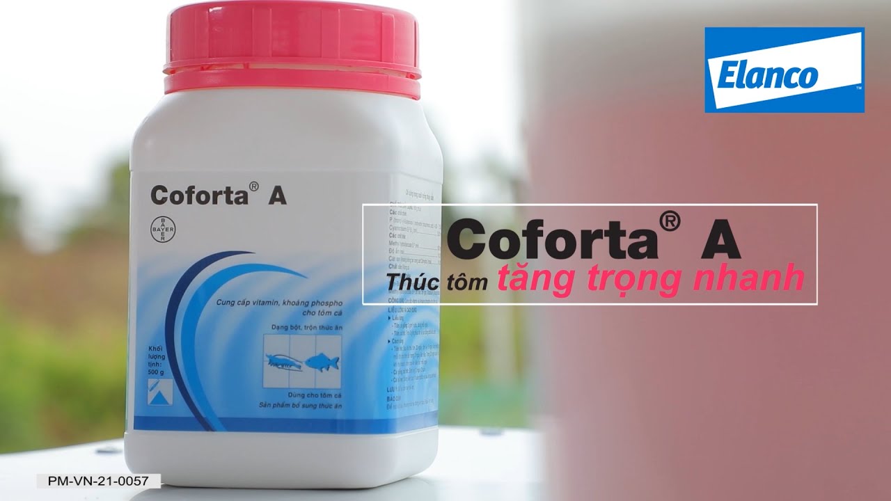 Hướng dẫn sử dụng sản phẩm Coforta® A cho tôm | ELANCO VIỆT NAM - YouTube