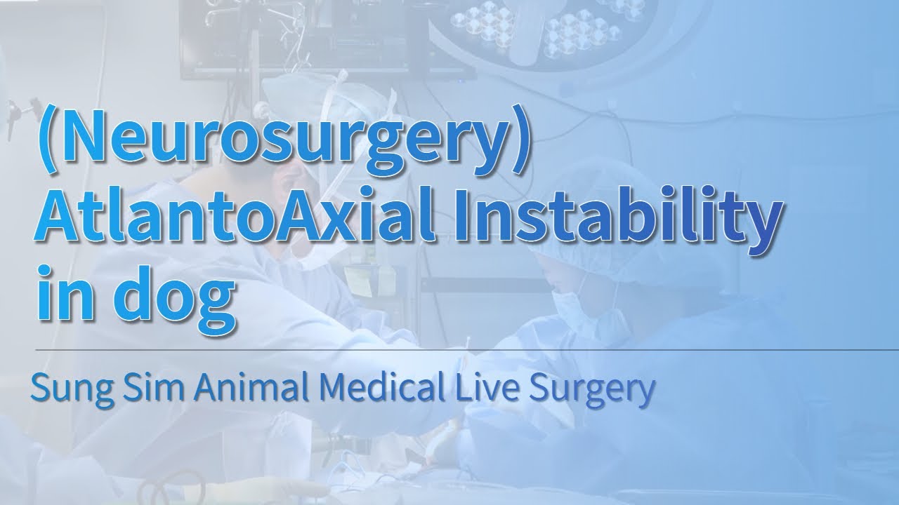 (Neurosurgery) AtlantoAxial Instability in dog Sung Sim Animal Medical ...