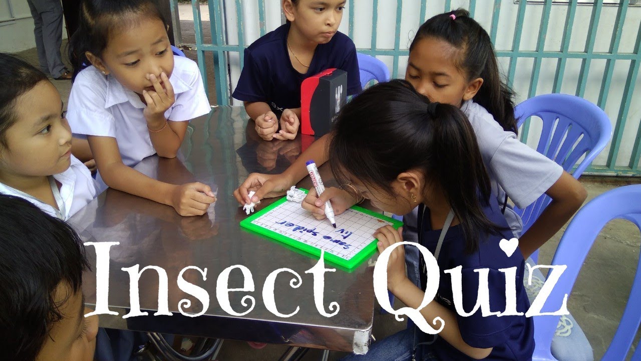 Insect Quiz - 'All about bugs' Team Game. - YouTube