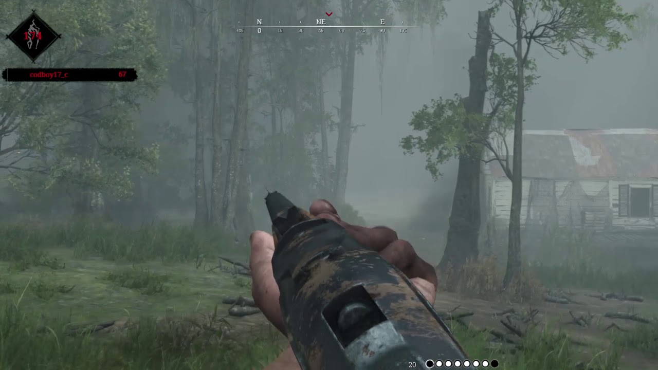 HUNT: SHOWDOWN Bees? - YouTube