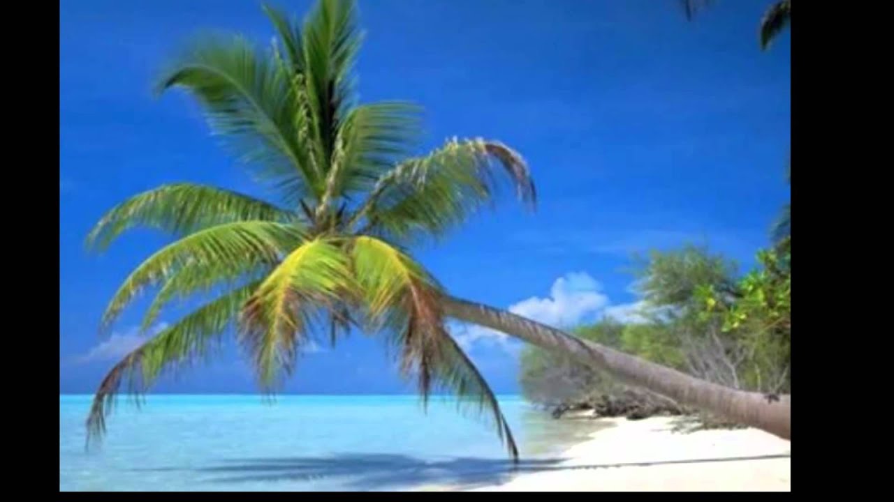 June Thu Rain's song A8 - YouTube