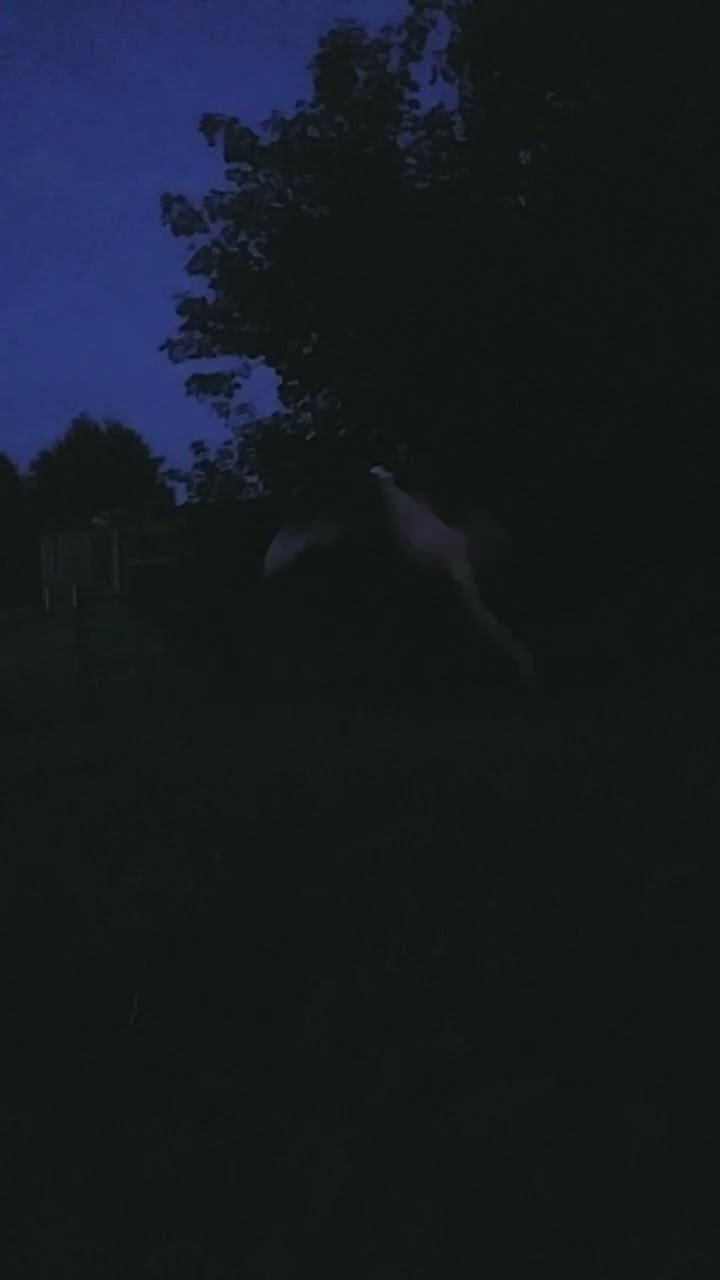 #quadrobist #quadrobics - YouTube