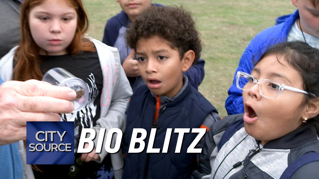 🏆 Bio Blitz 2023 - YouTube