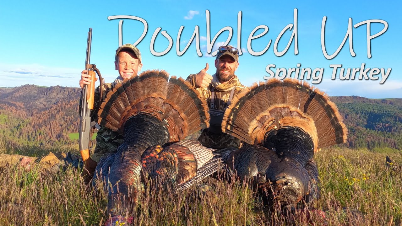Idaho Mountain Birds - an EPIC Turkey Hunt! - YouTube
