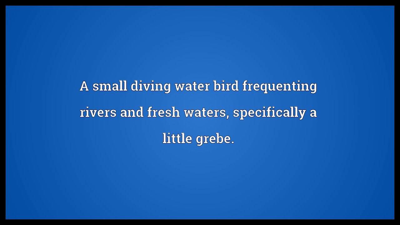 Didapper Meaning | Wordogram - YouTube