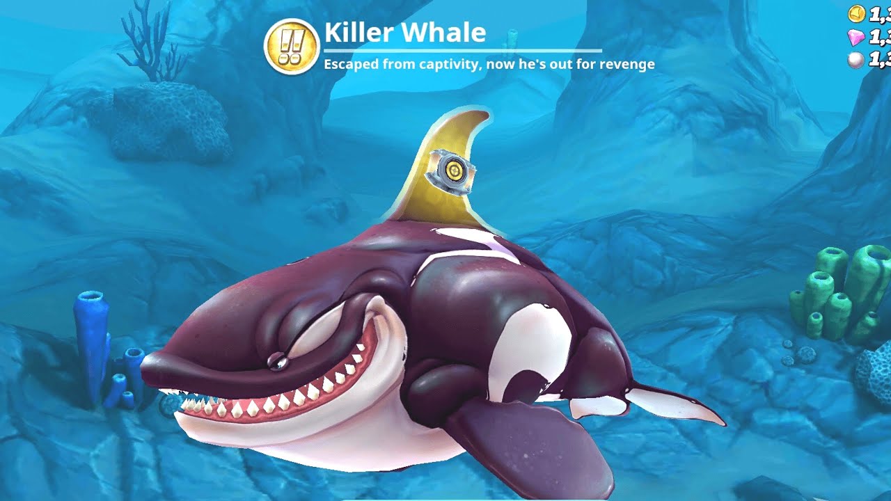 When the Ocean Turns Deadly: Hungry Killer Whale Attack Caught on Camera - Hungry Shark World ...