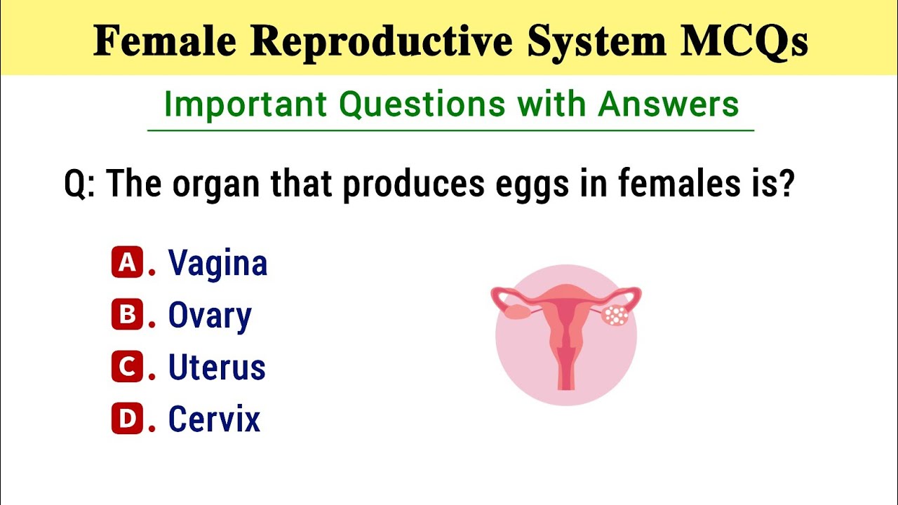 Female Reproductive System Mcq | Female Reproductive Questions and ...