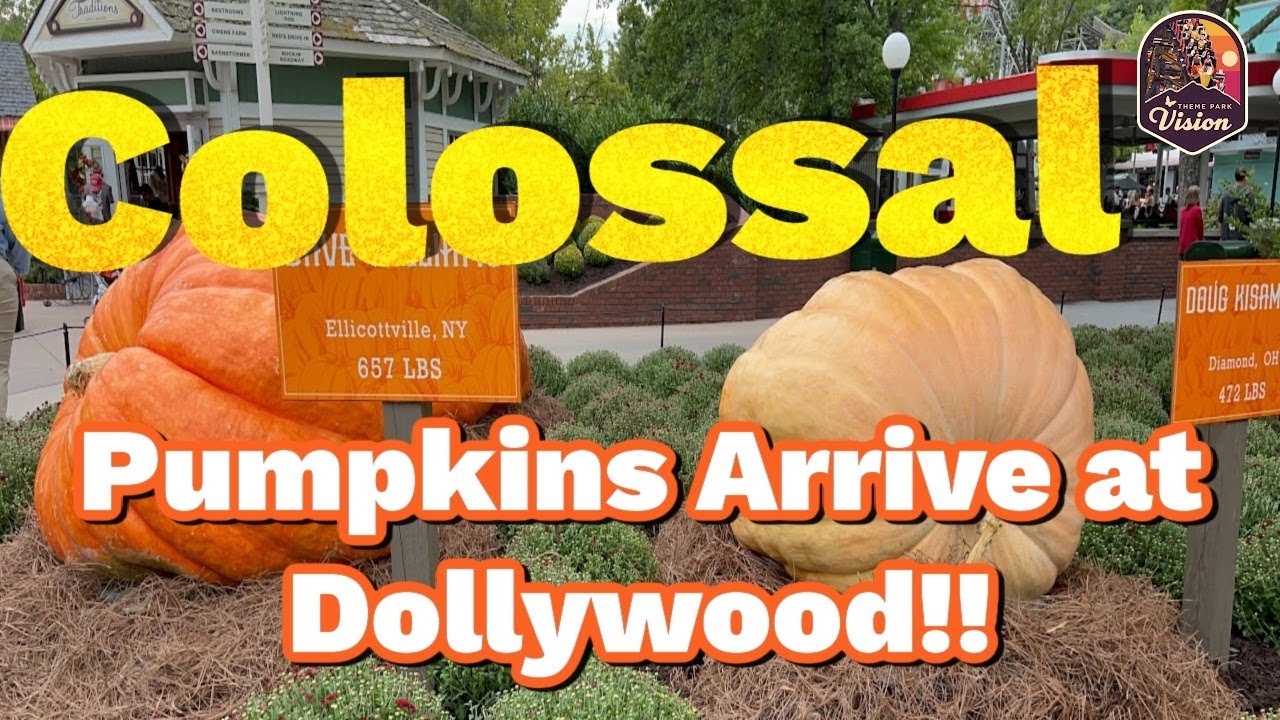 Dollywood's Colossal Pumpkins Arrive: New Pumpkin Patch - YouTube