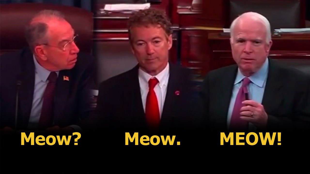 Rand Paul Causes A Vicious Senate Cat Fight Over Patriot Act - YouTube