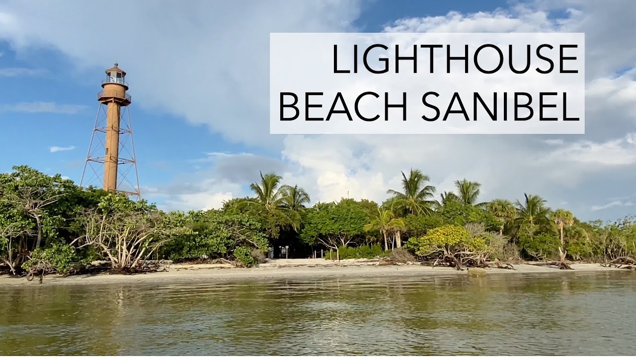 Shelling on Sanibel Island. Lighthouse Beach had so many jellyfish ...