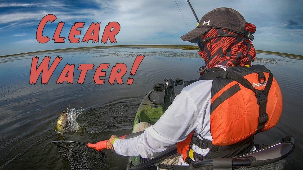 She's Looking Good - Fellsmere - 12/8/18 - YouTube