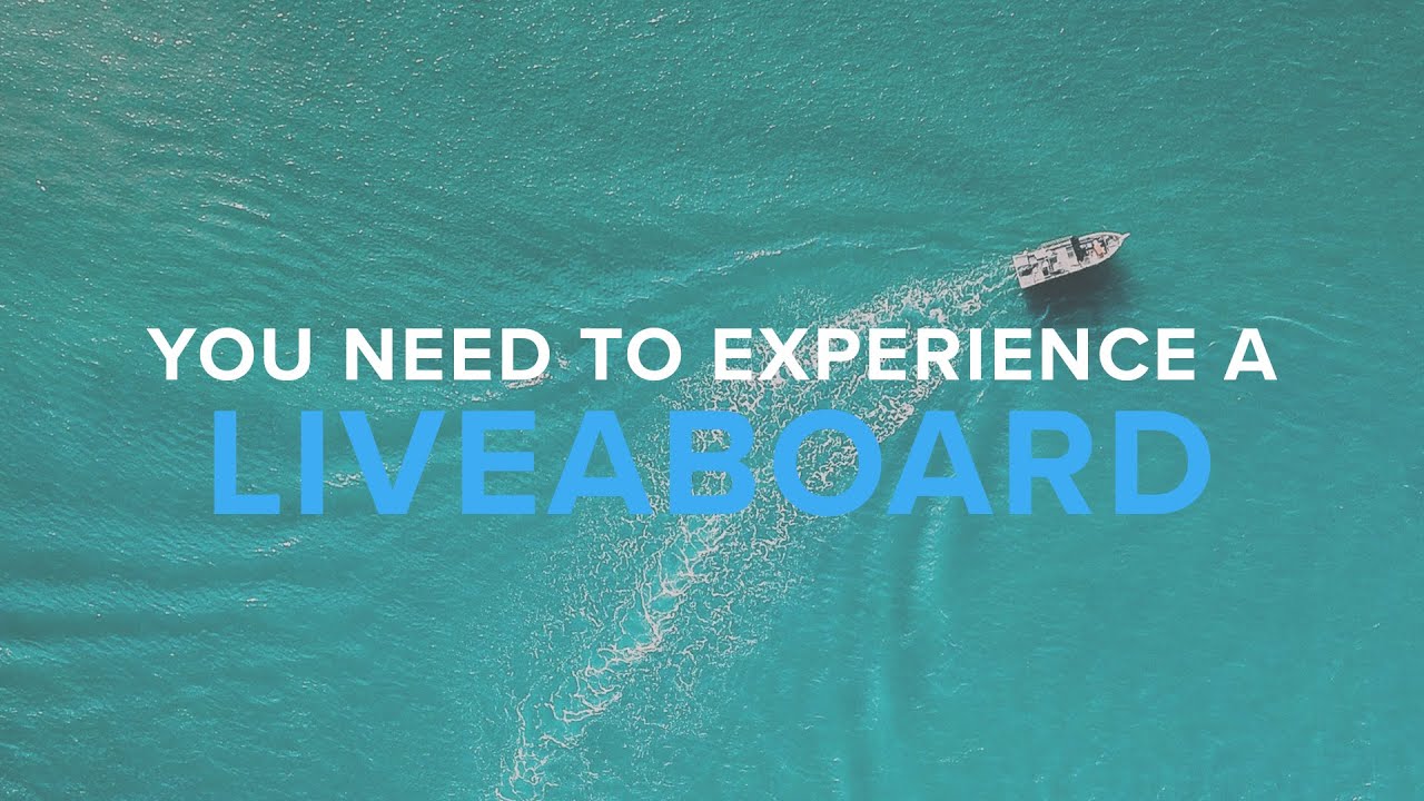 Why You NEED To Experience A Liveaboard | Deep Dive - YouTube