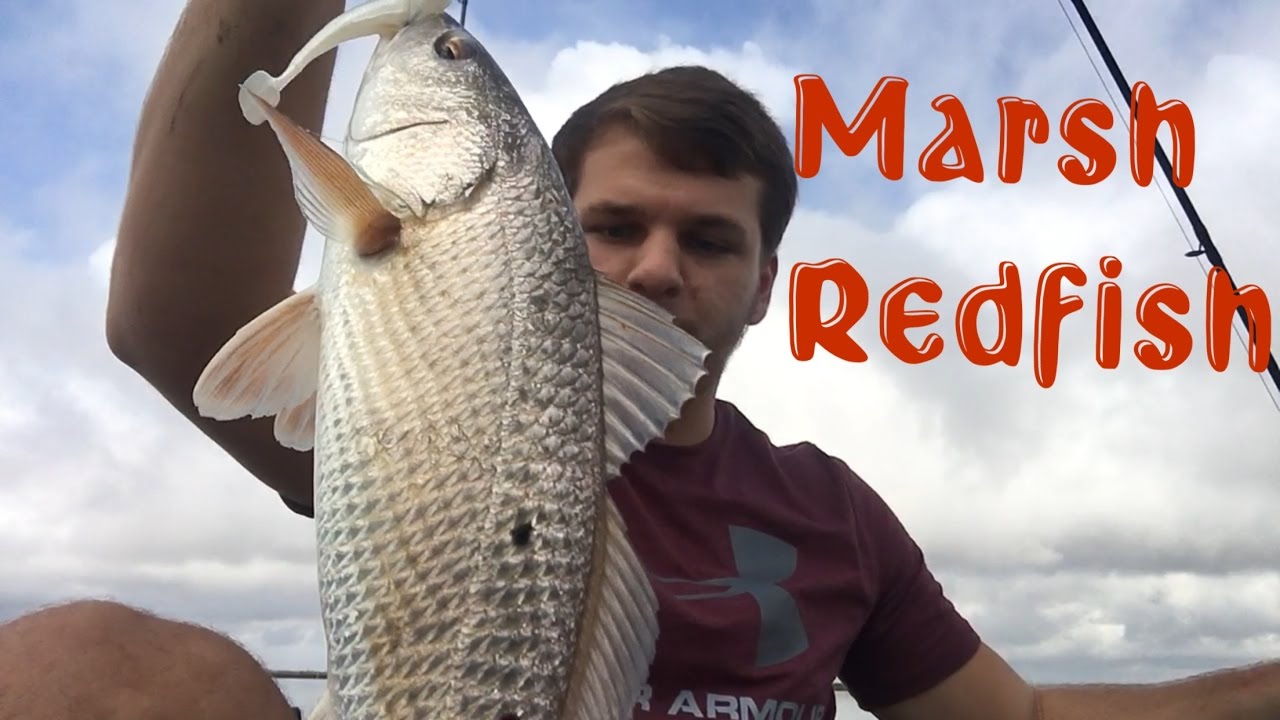 Redfish kayak fishing In Matagorda Marshes - YouTube