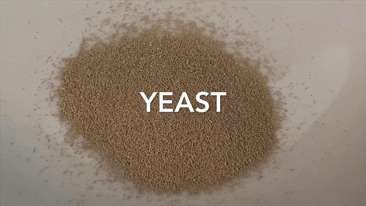 خجور افغانی / بوسراغ - YouTube