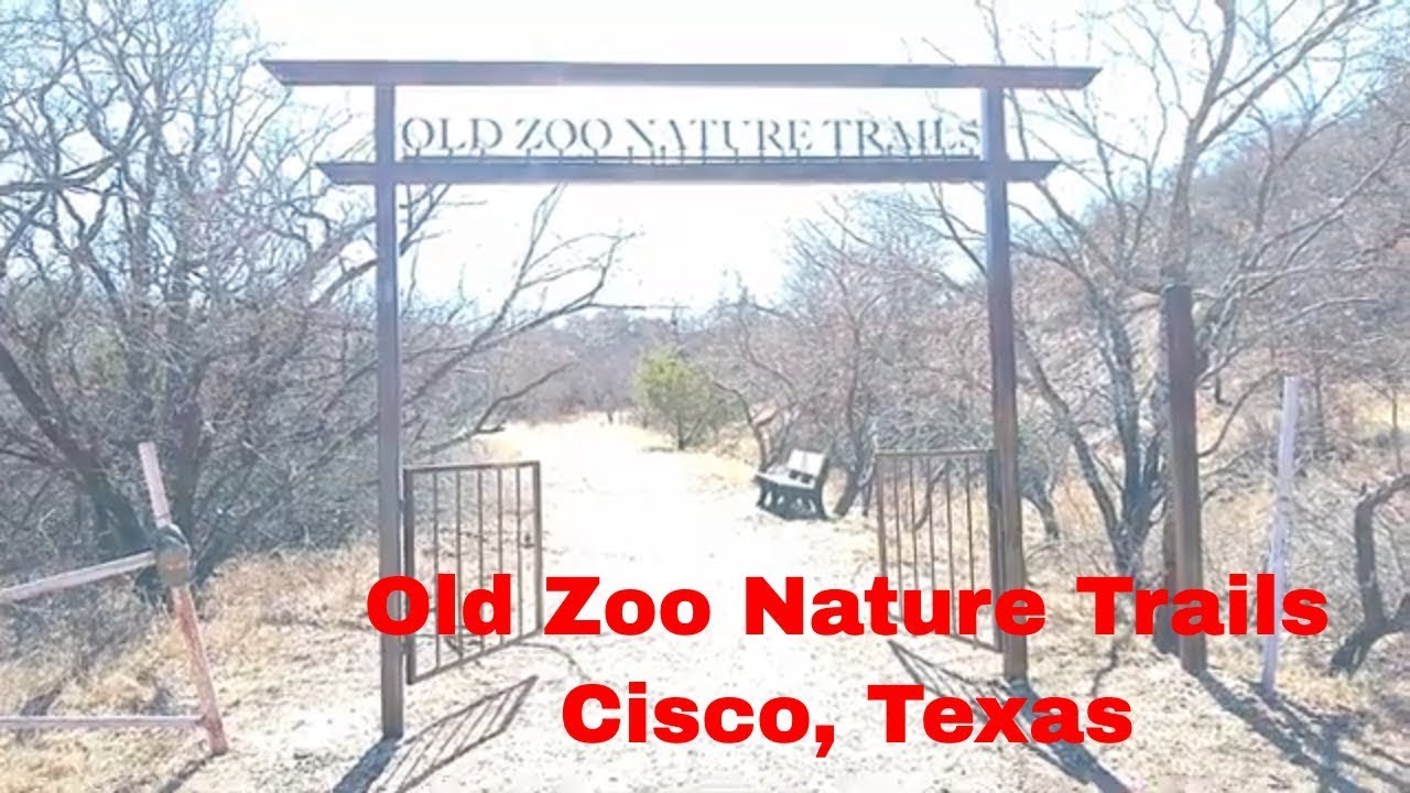 We took a small trip to the Old Cisco Zoo - YouTube