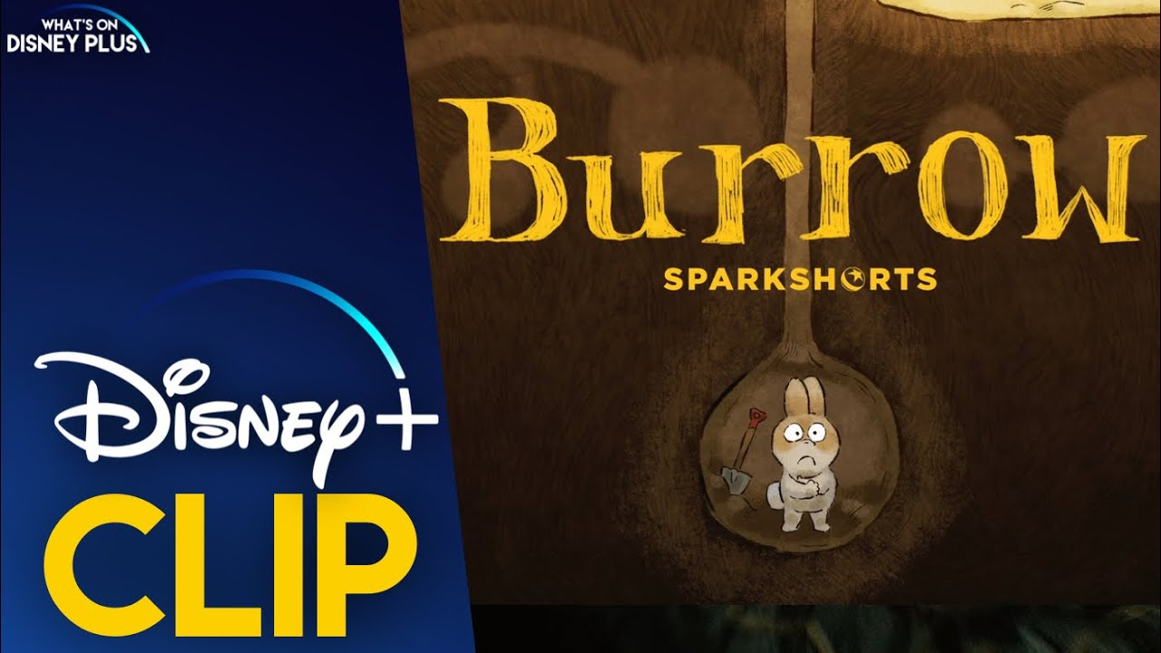 Pixar Sparkshort Burrow | Disney+ Clip - YouTube