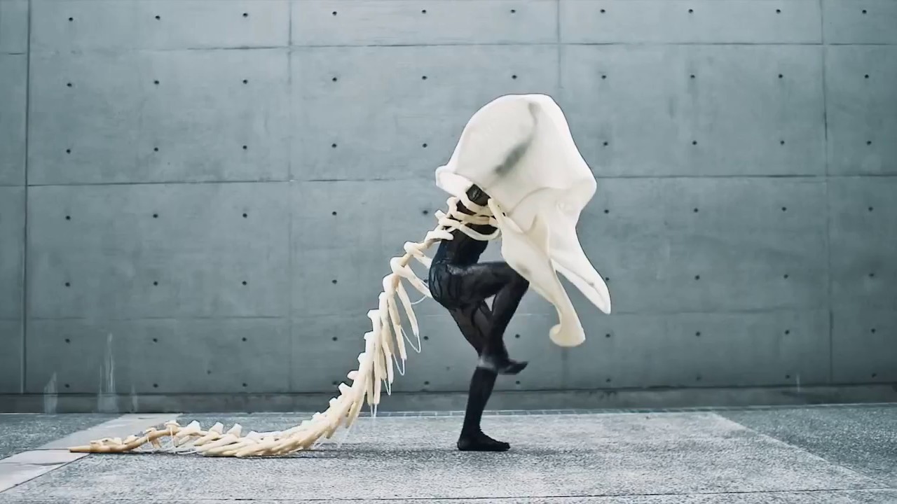 LIVE BONE 2013 - YouTube