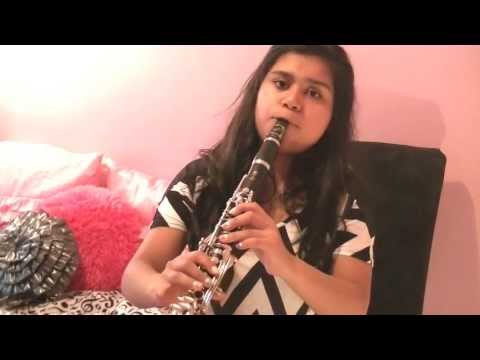 Titanium-David Guetta ft. Sia (Clarinet Cover) - YouTube