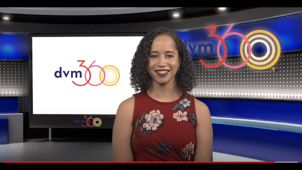 dvm360's weekly news wrap-up - YouTube